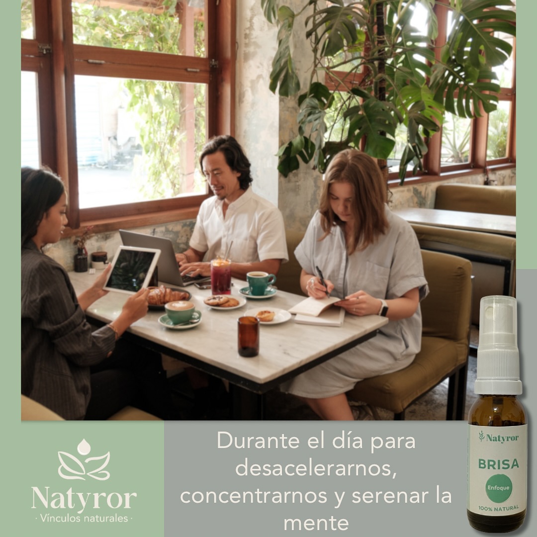 Natyror Natural Links - San Nicolas Valley